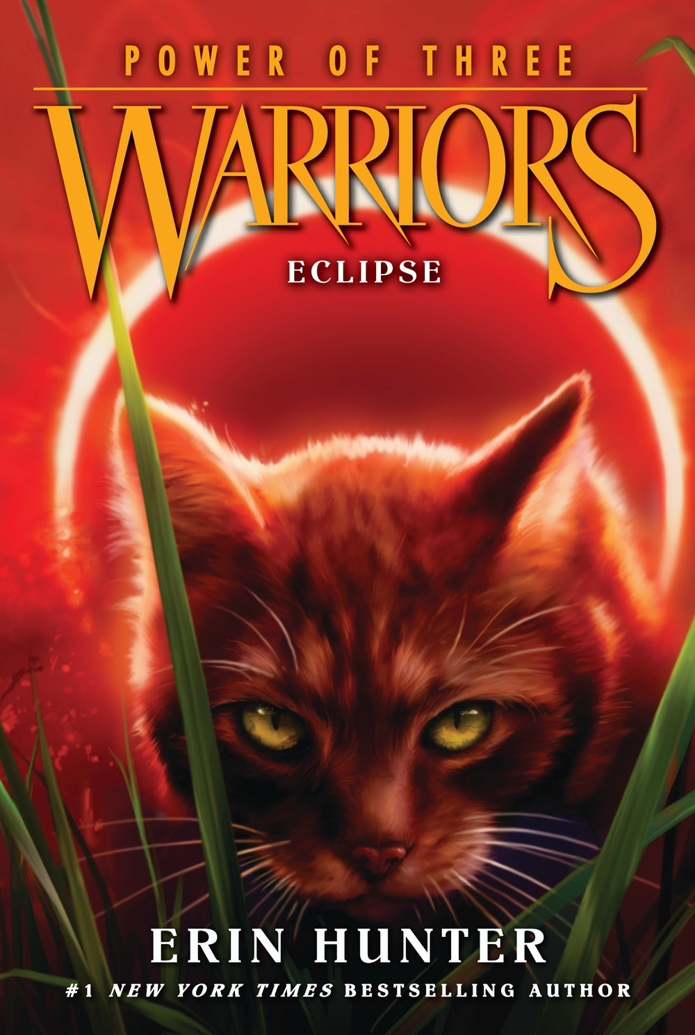 Warrior Cats Books - Complete Series Collection - Official Store ...